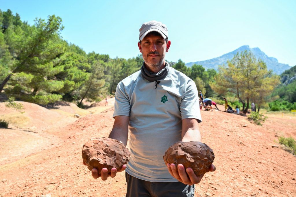 Eggs en Provence: An intriguing trove of dinosaur eggs in France