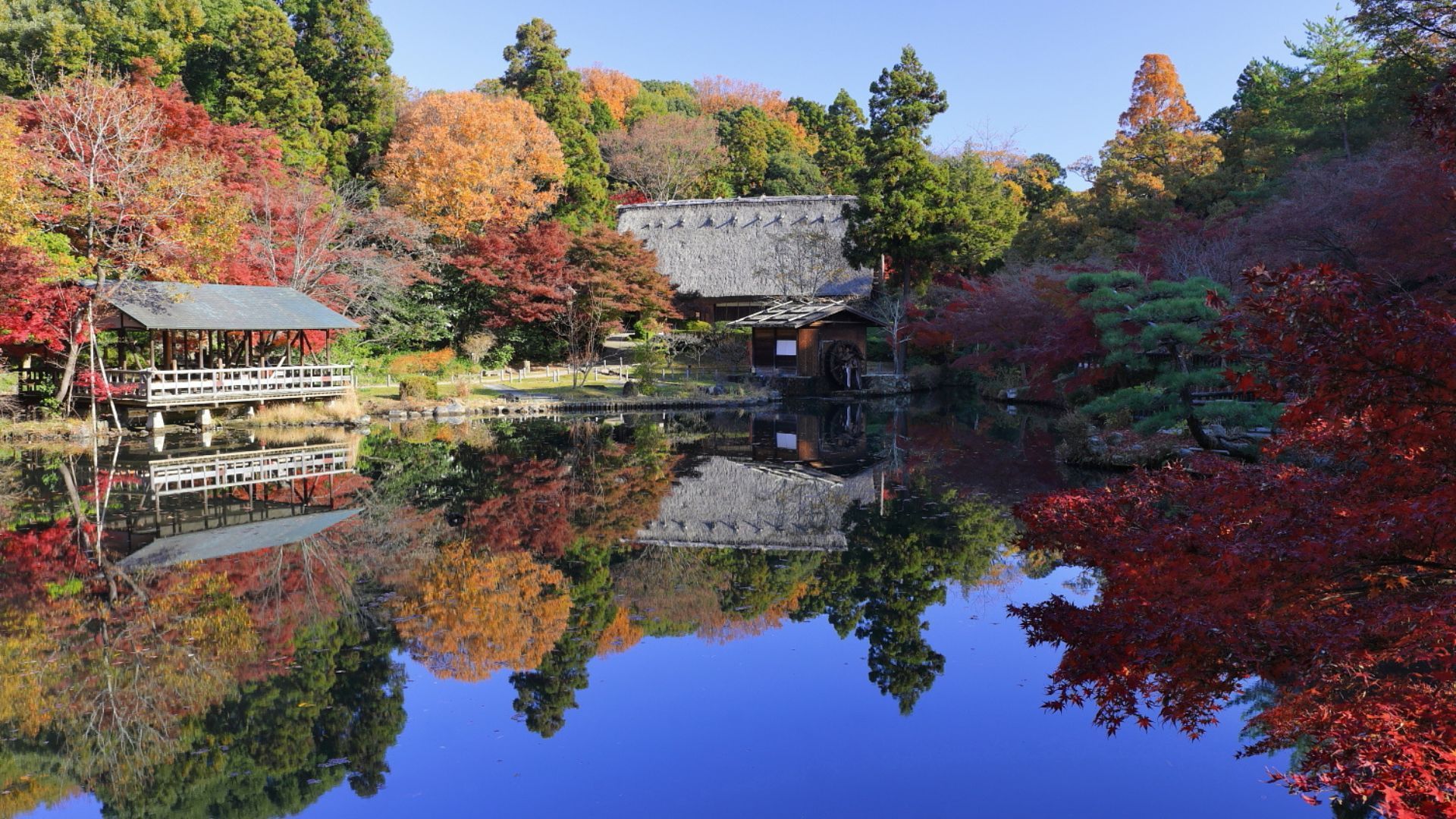 Things to do in Nagoya: A complete travel guide – PrestigeOnline Malaysia