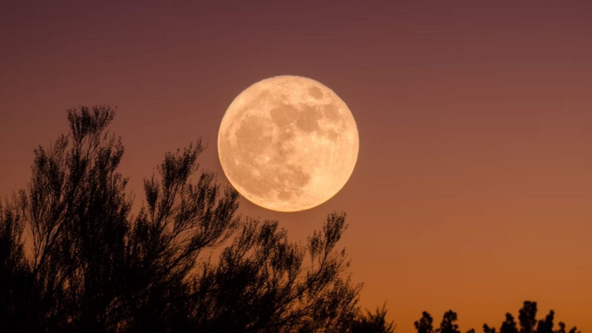 Upcoming supermoons and meteor showers in 2025 – PrestigeOnline Malaysia
