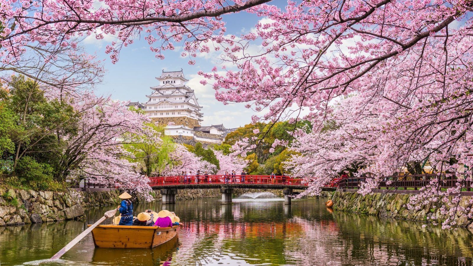 Japan cherry blossom forecast for year 2026 – PrestigeOnline Malaysia