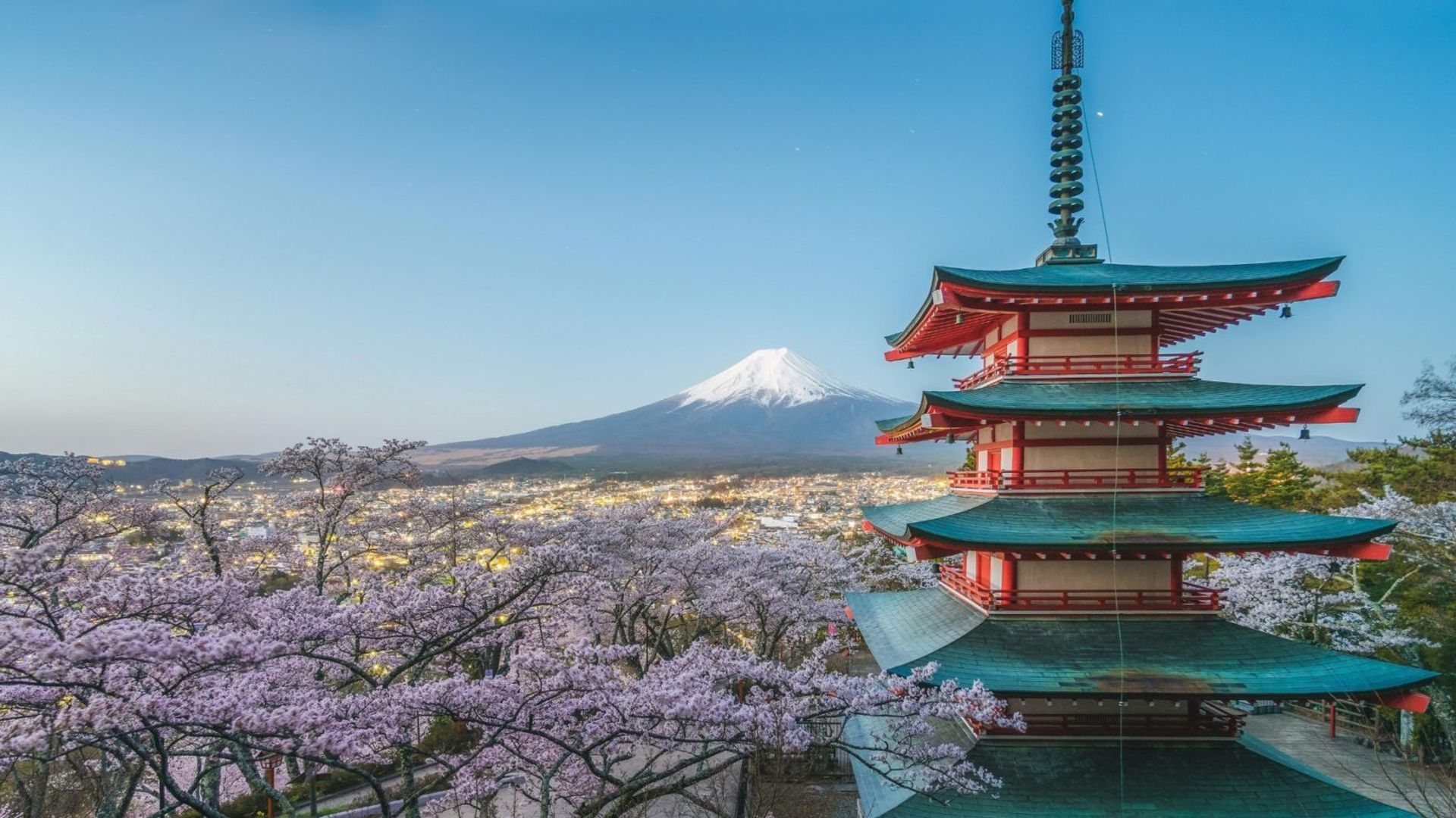 Mount Fuji Cherry Blossom Festival 2026 called off: Here's why ...