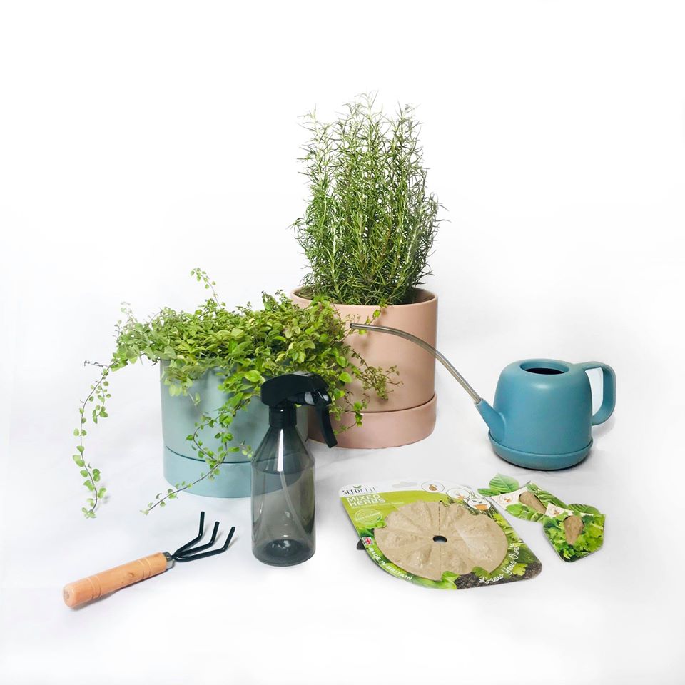Urban gardening kits for you to grow your own produce