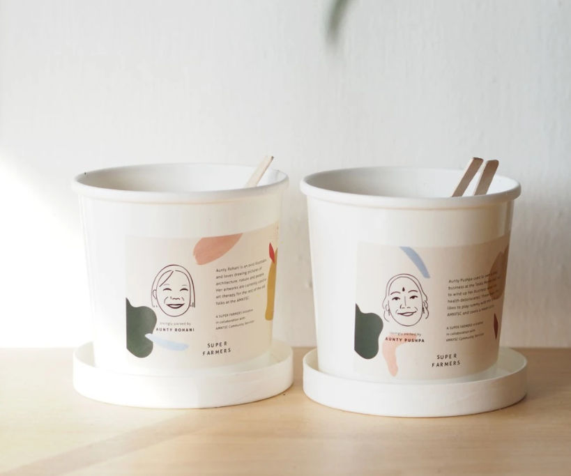 Urban gardening kits for you to grow your own produce