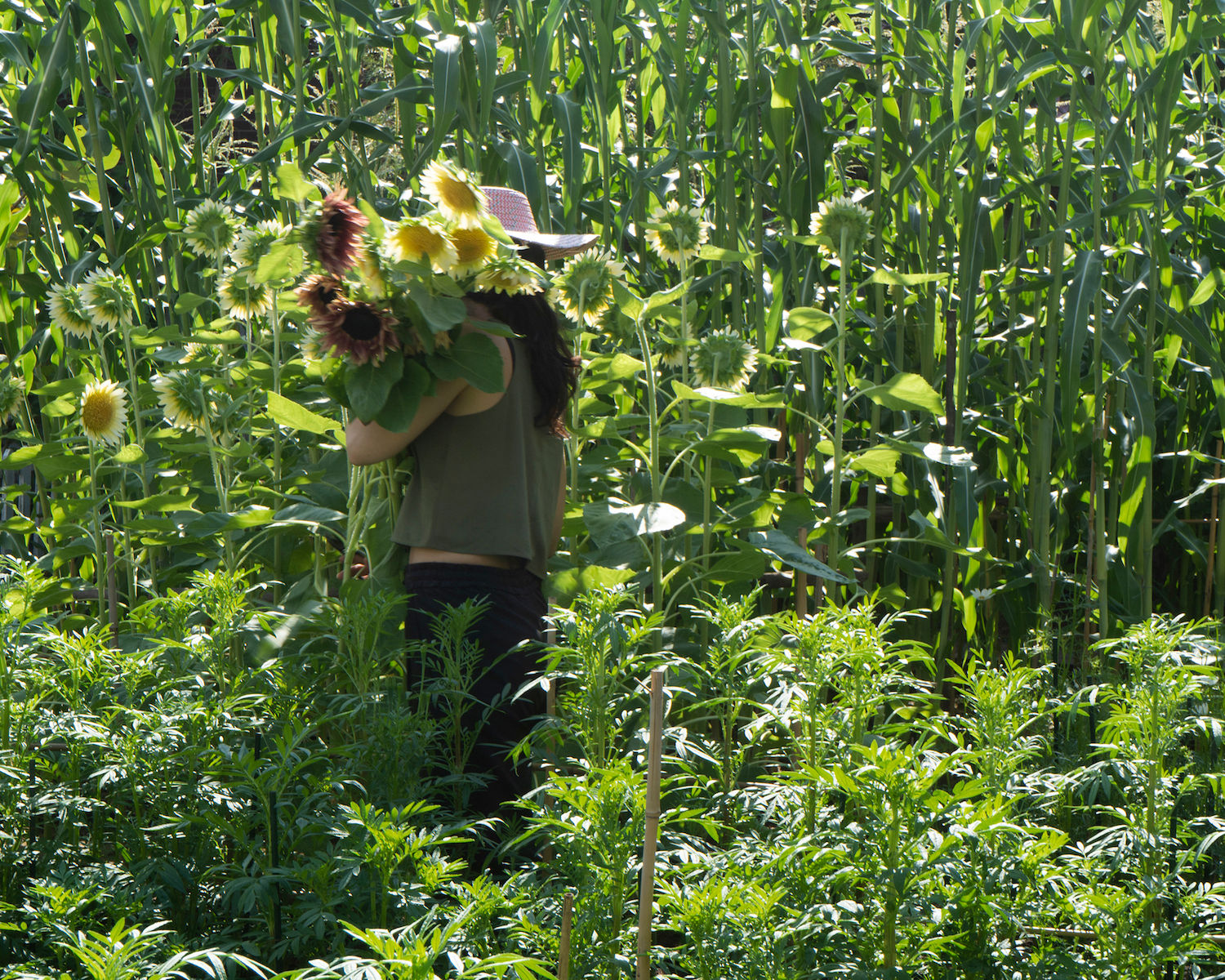 This Humid House launches an online store with florals from its garden