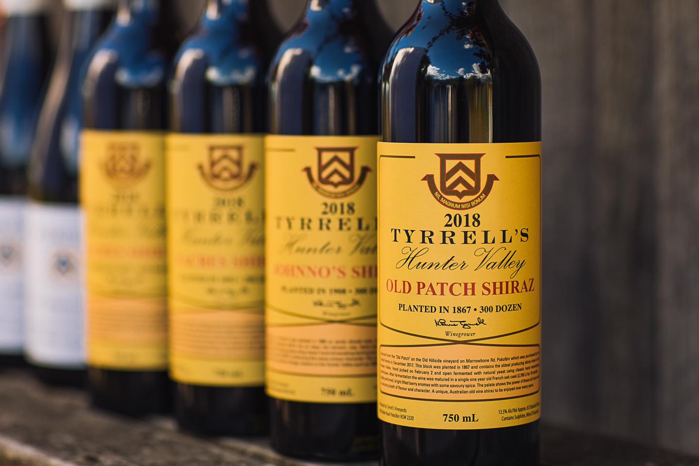 Shiraz or Syrah? Everything you need to know about the grape variety ...