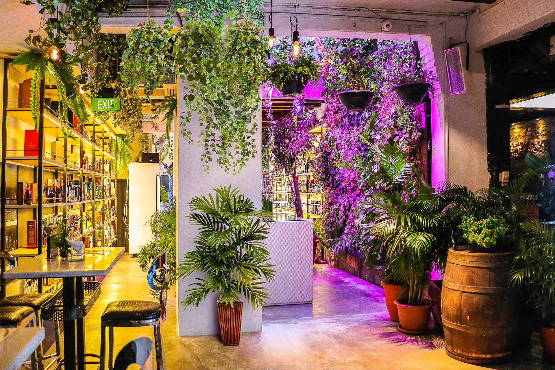 Restaurant review: Sake pairing dinner at WTF on Club Street, Singapore