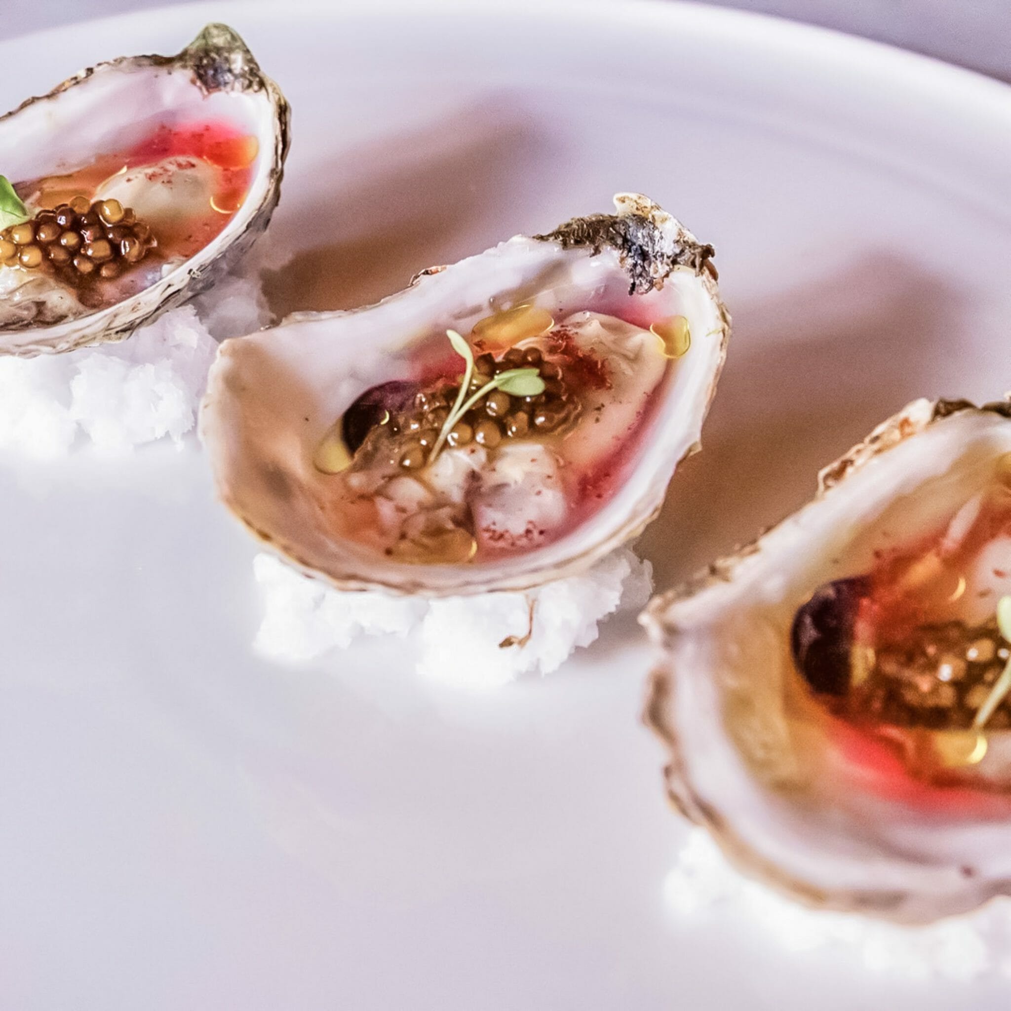 A beginner’s guide to oysters: Types and what to drink with