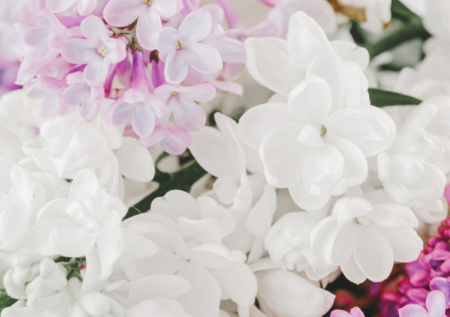 Tulips to lilies: 8 romantic flowers that aren't roses