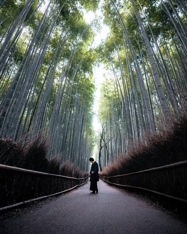 Popular Asian photographers to follow on Instagram for inspiration