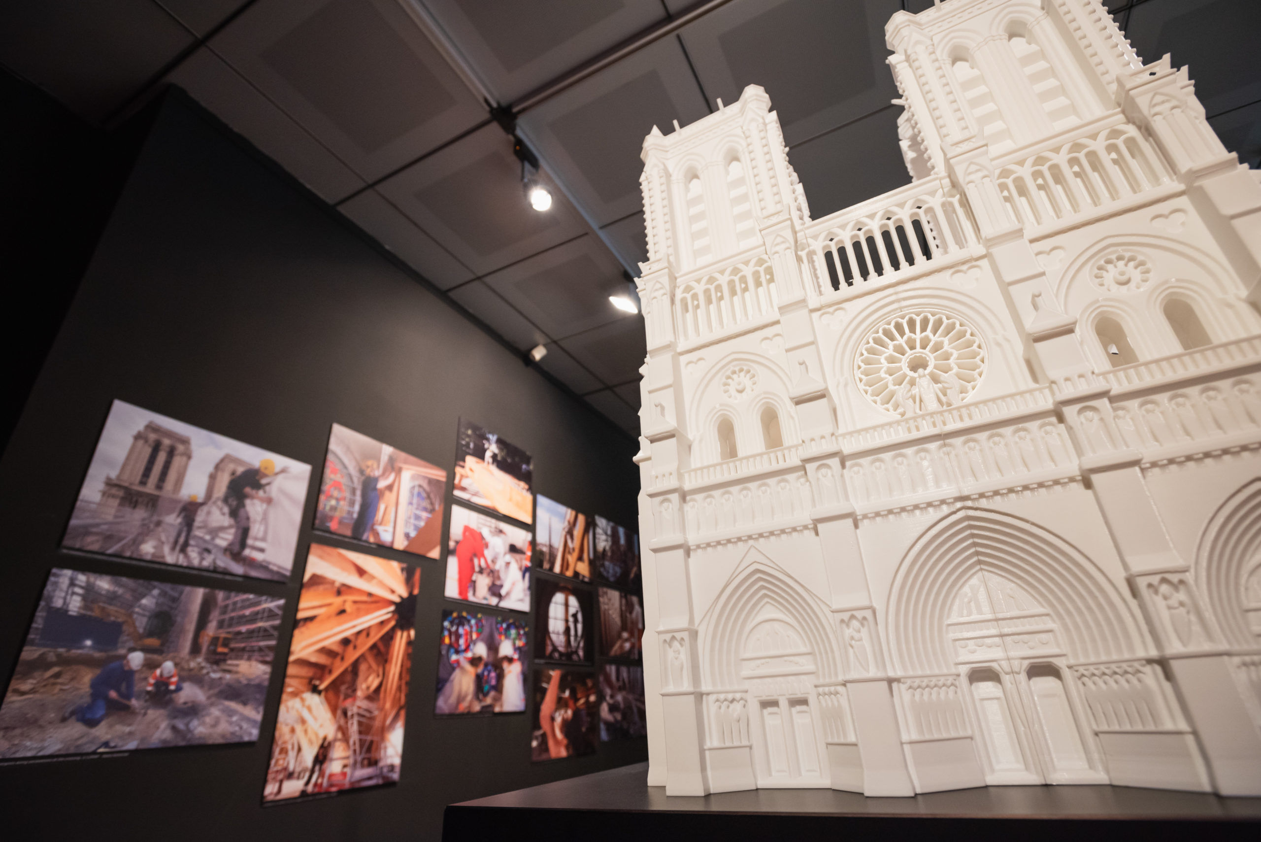 Step back in time at Notre-Dame Cathedral, virtually