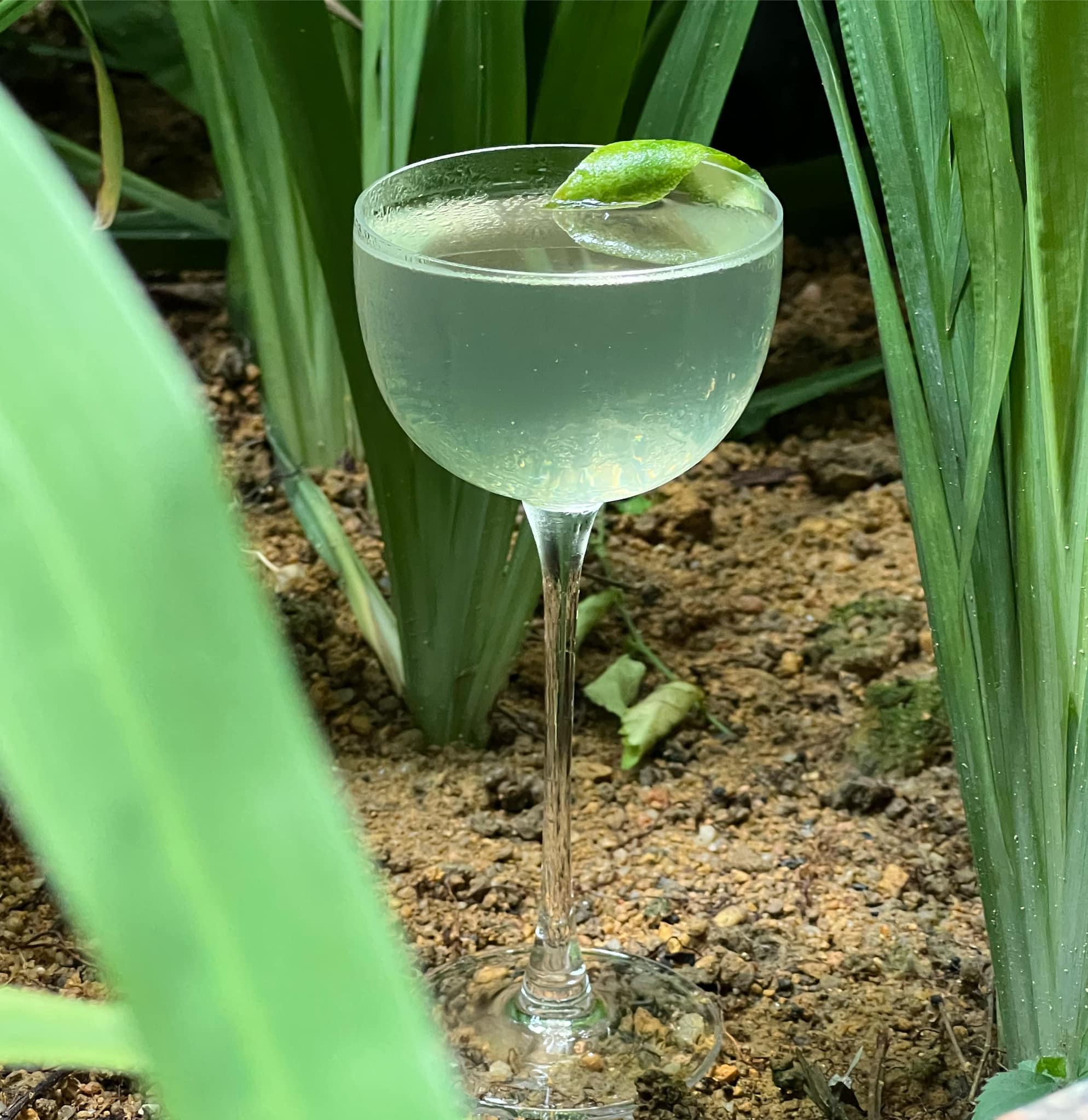 10 new cocktail bars in Kuala Lumour to visit