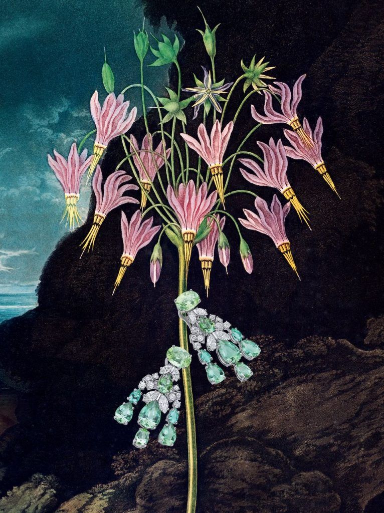 The Bulgari Eden: The Garden of Wonders high jewellery collection is an ...