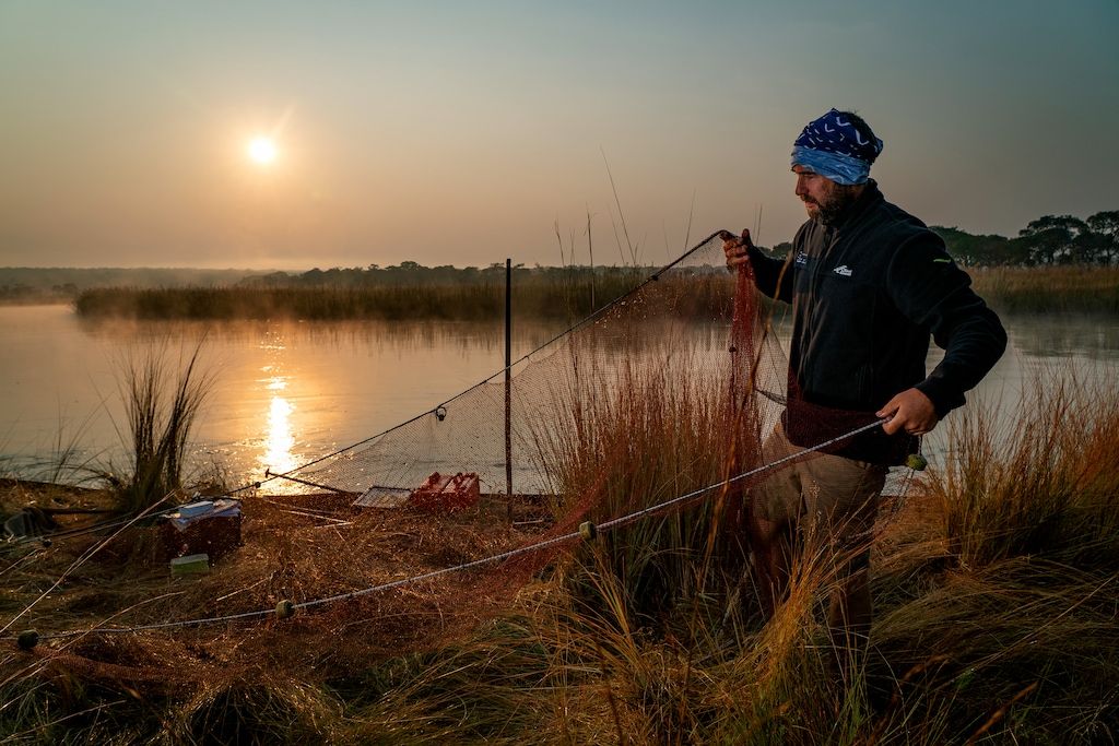 Rolex Perpetual Planet Initiative partner Steve Boyes on his expeditions