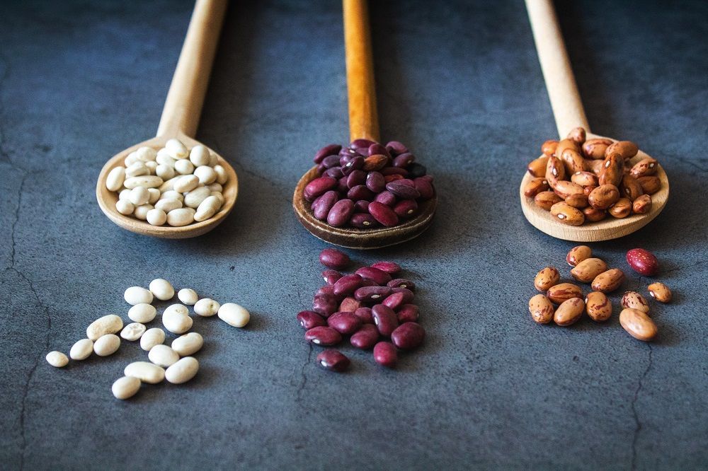Vegan calcium sources you should add to your diet