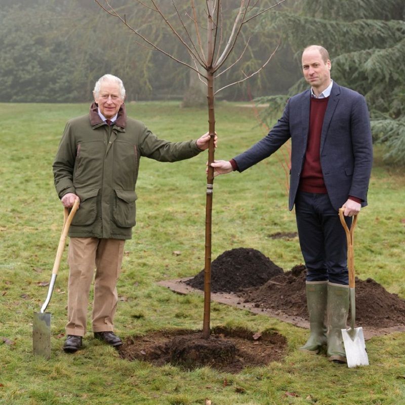 British royal family: Here's the line of succession to the throne