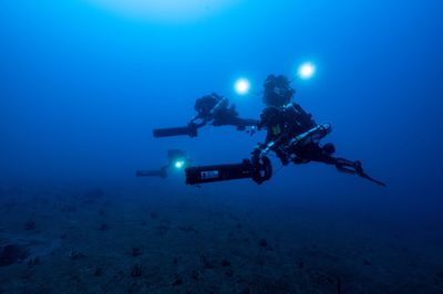 How to visit Moo Deng: Location, price, & more – PrestigeOnline Singapore