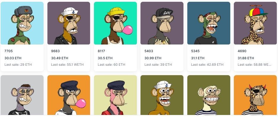 Bored Ape Yacht Club loses over 85% of market value as NFTs crash low
