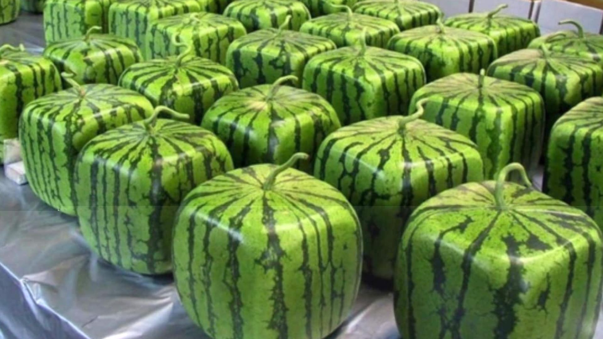 11 of the most expensive fruits in the world to splurge on