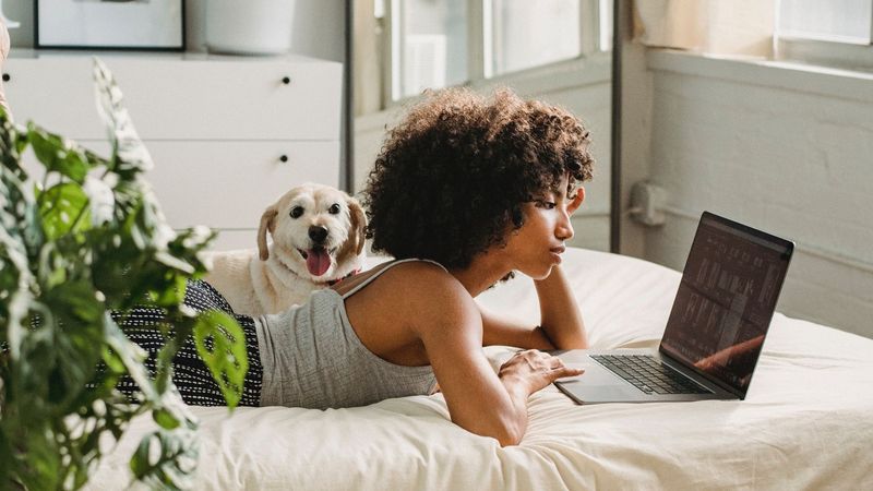 How to take the trending Taiwan Design Expo personality test