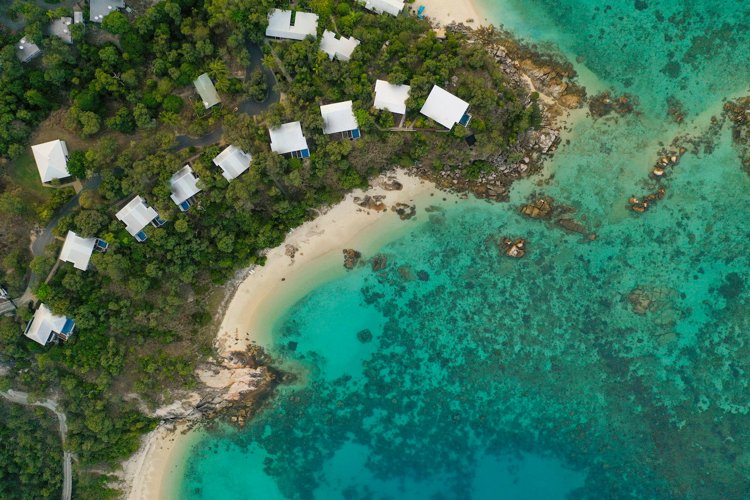 Uncovering the secrets of Lizard Island in Australia