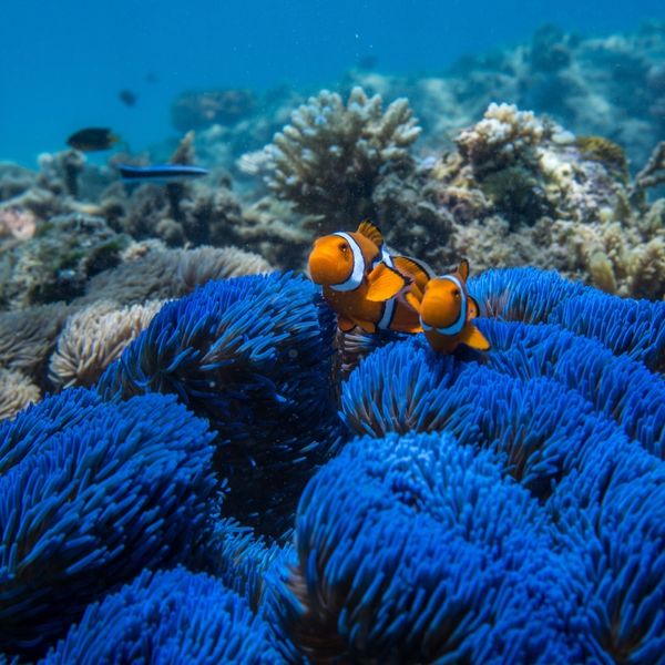 Mavis Teo, Author at Prestige Online - Singapore