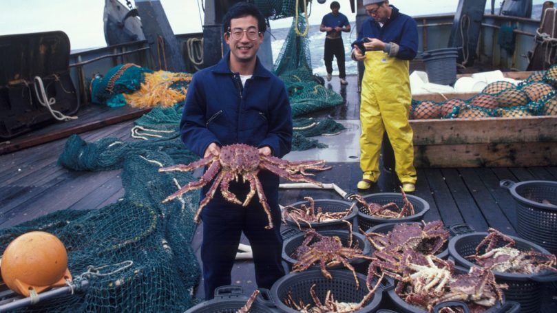 Most expensive crabs in the world to dine on