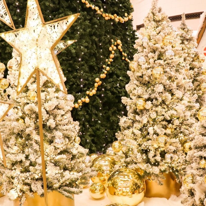 10 most expensive Christmas trees around the world