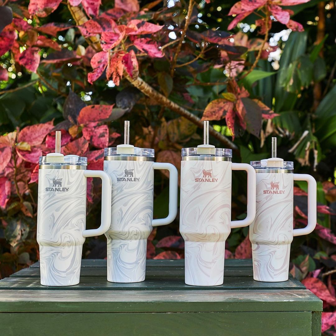 Stanley cup mayhem: Inside the sippy cup craze that has gripped America