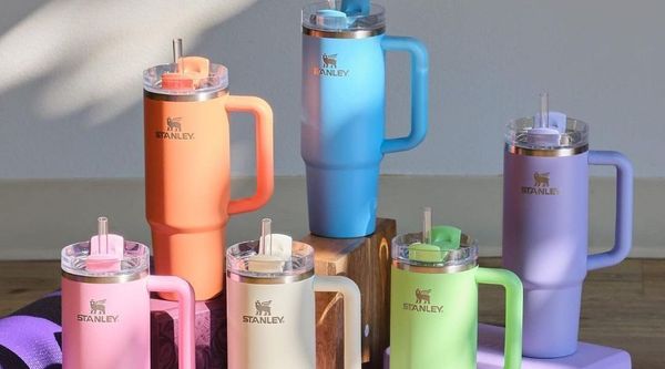 Stanley cup mayhem: Inside the sippy cup craze that has gripped America