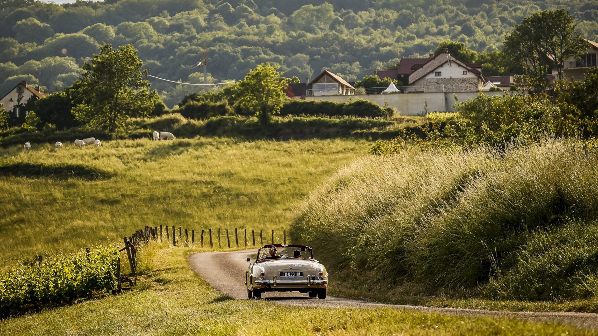 Richard Mille, Extreme Watch Engineering and The World of Racing