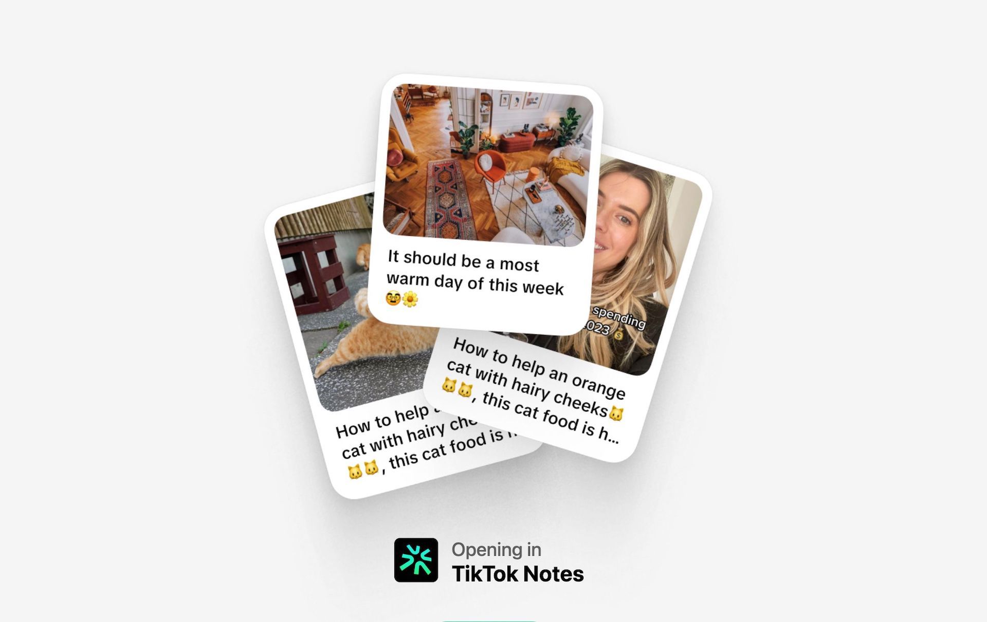 TikTok is launching TikTok Notes, a new photo app to rival Instagram