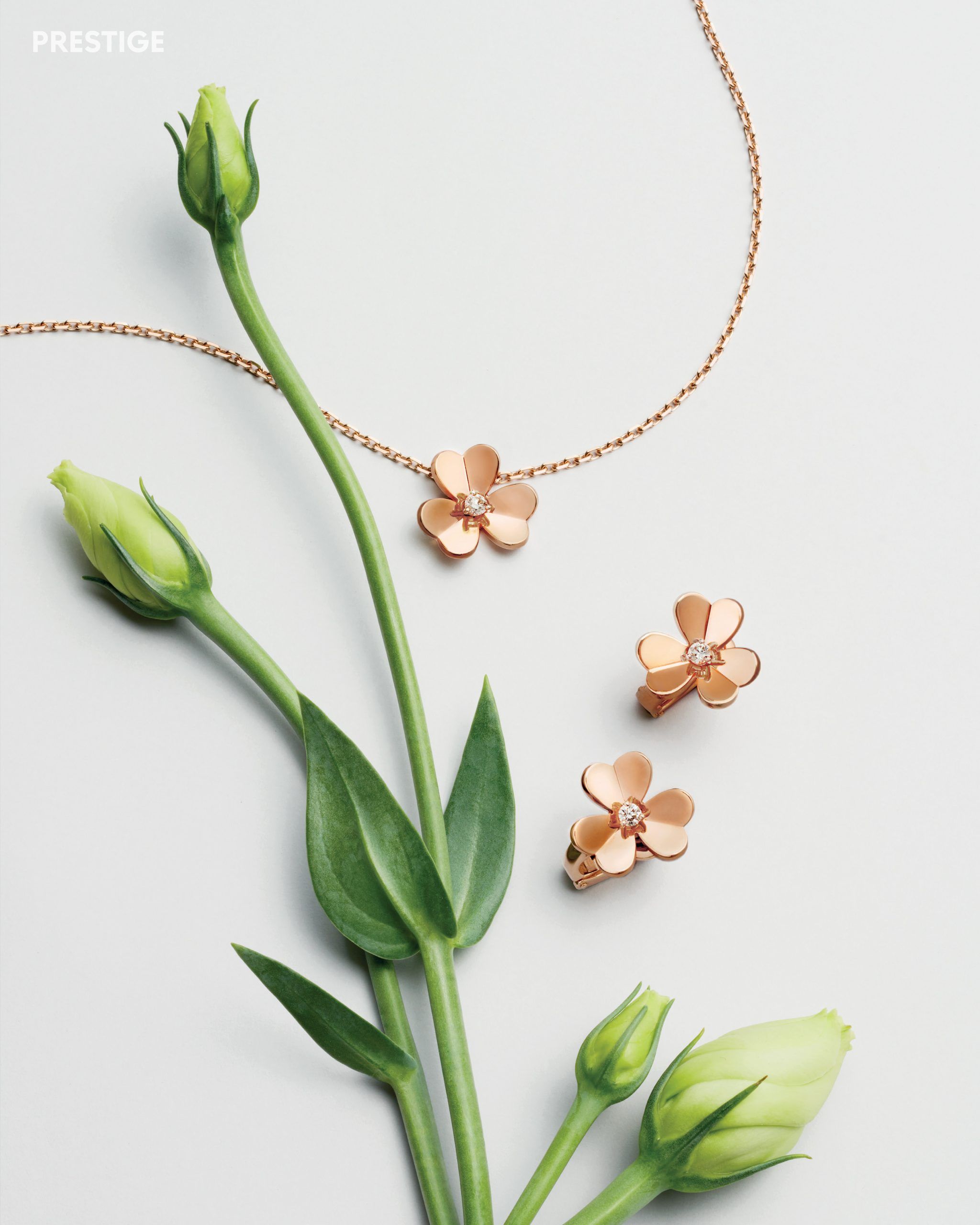 Bloom With Van Cleef & Arpels' Frivole Collection