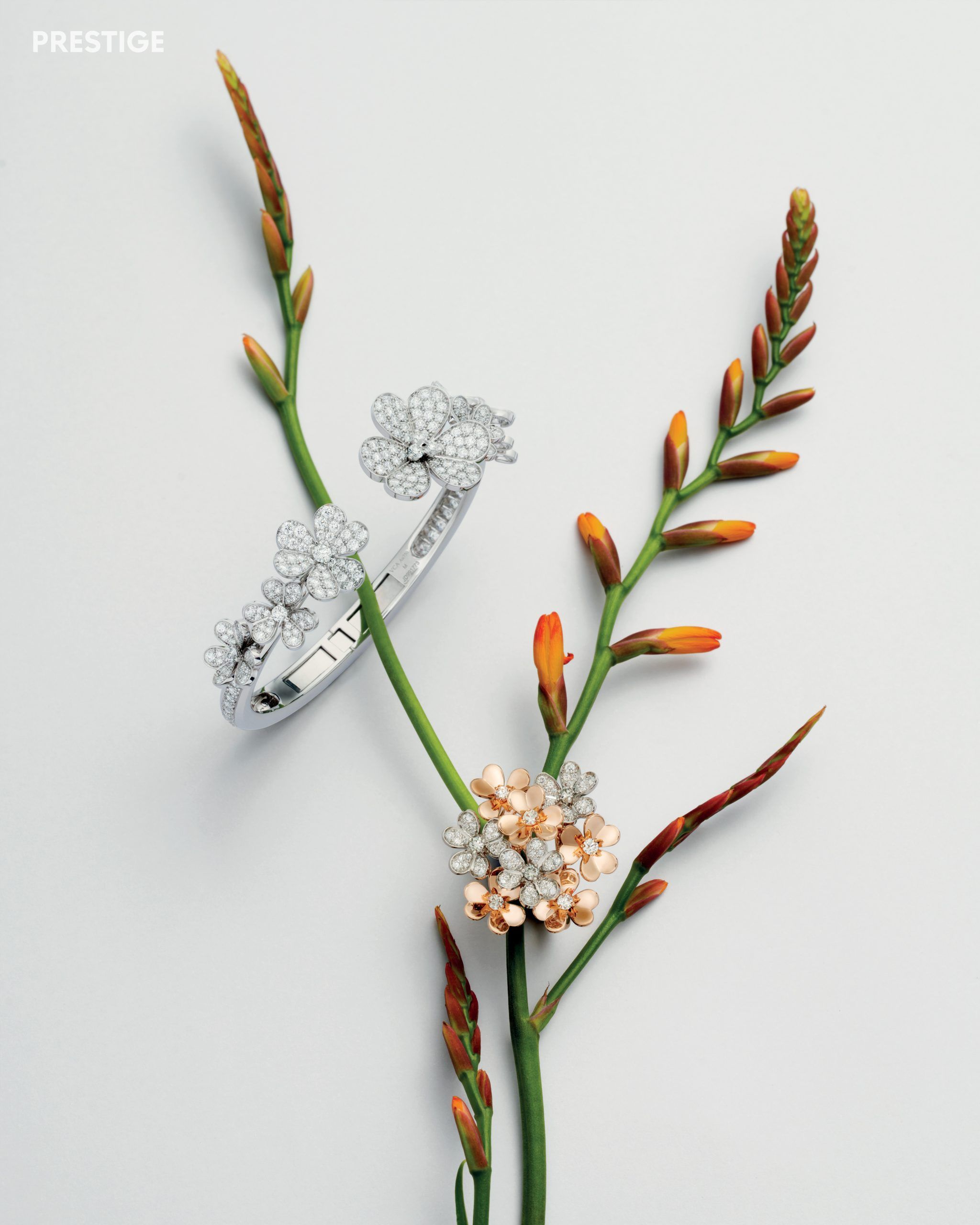 Bloom With Van Cleef & Arpels' Frivole Collection