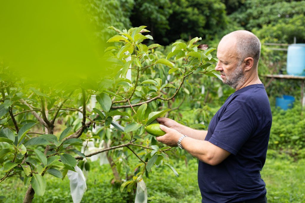 Michelin Green Star chefs share their take on sustainable gastronomy ...