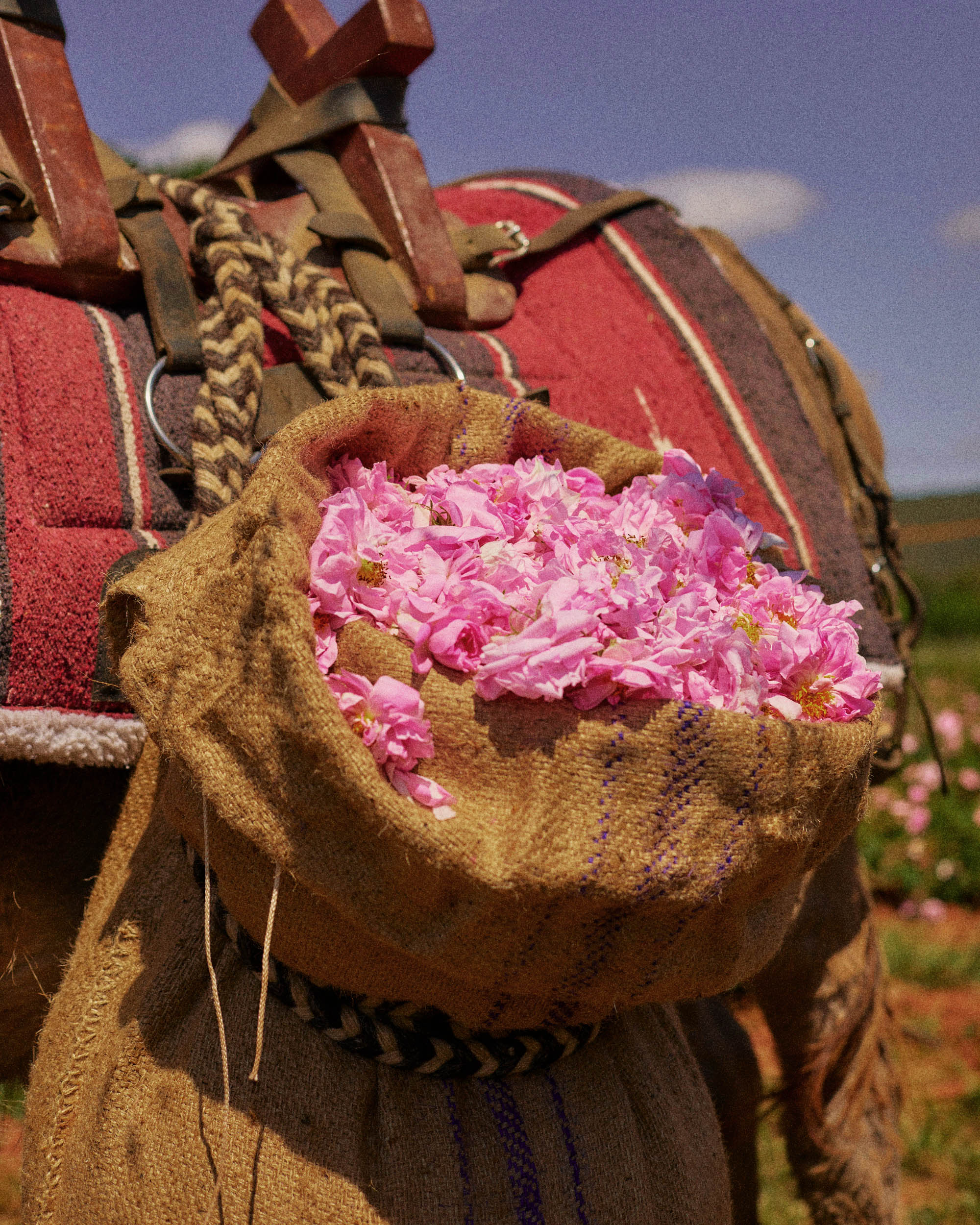 Henry Jacques CEO Anne-Lise Cremona Introduces Collection de l'Atelier