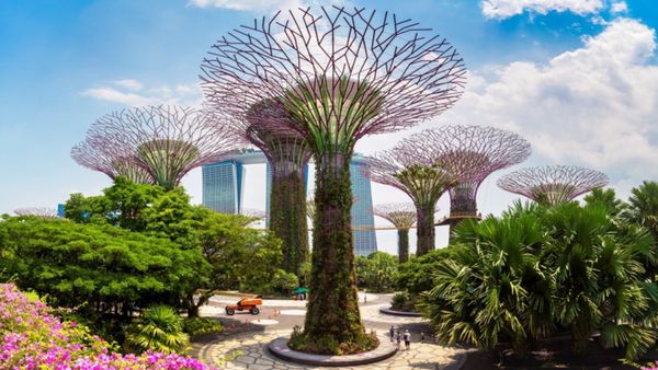 7 best places in Singapore to witness snowfall this winter - Prestige SG