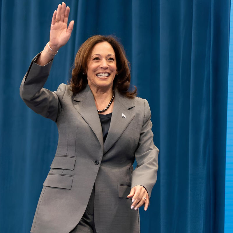 A look at Kamala Harris' best pop culture moments, viral memes and more