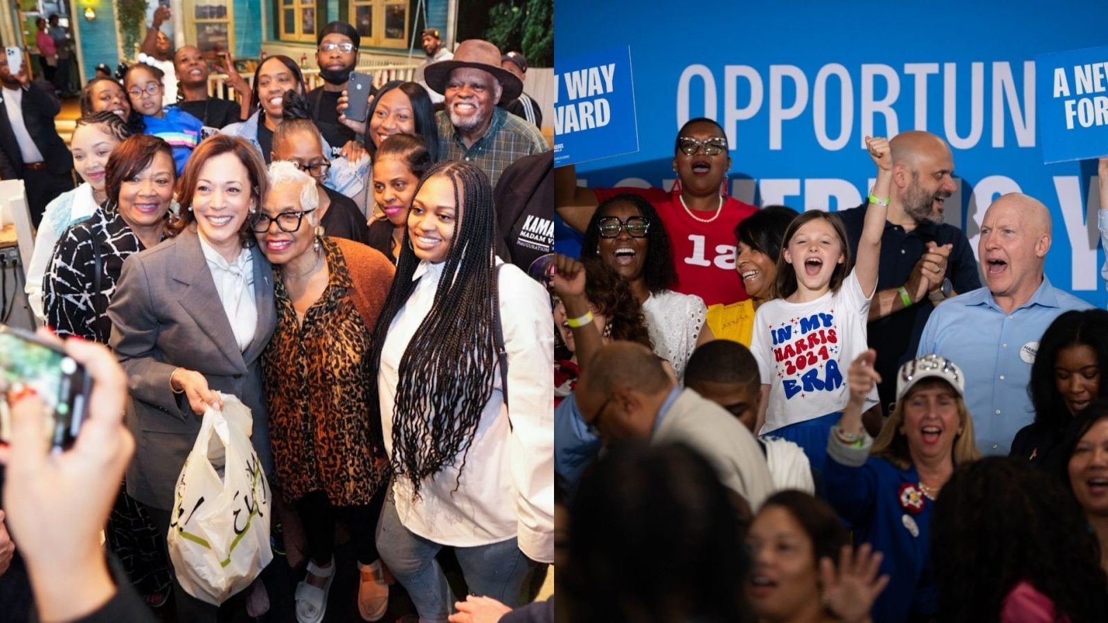 Democrats, social media, influencers, and the 2024 US election