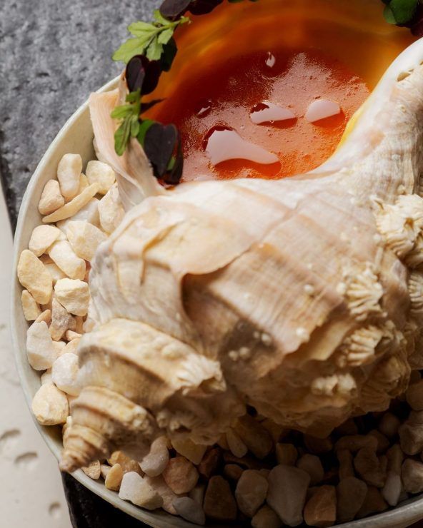 What to expect from Mirko Febbrile's Somma in New Bahru – PrestigeOnline SG