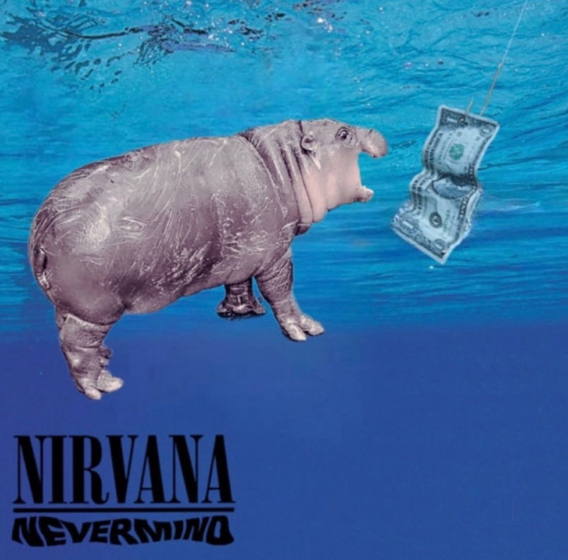 The best Moo Deng memes and reactions on the internet – PrestigeOnline ...