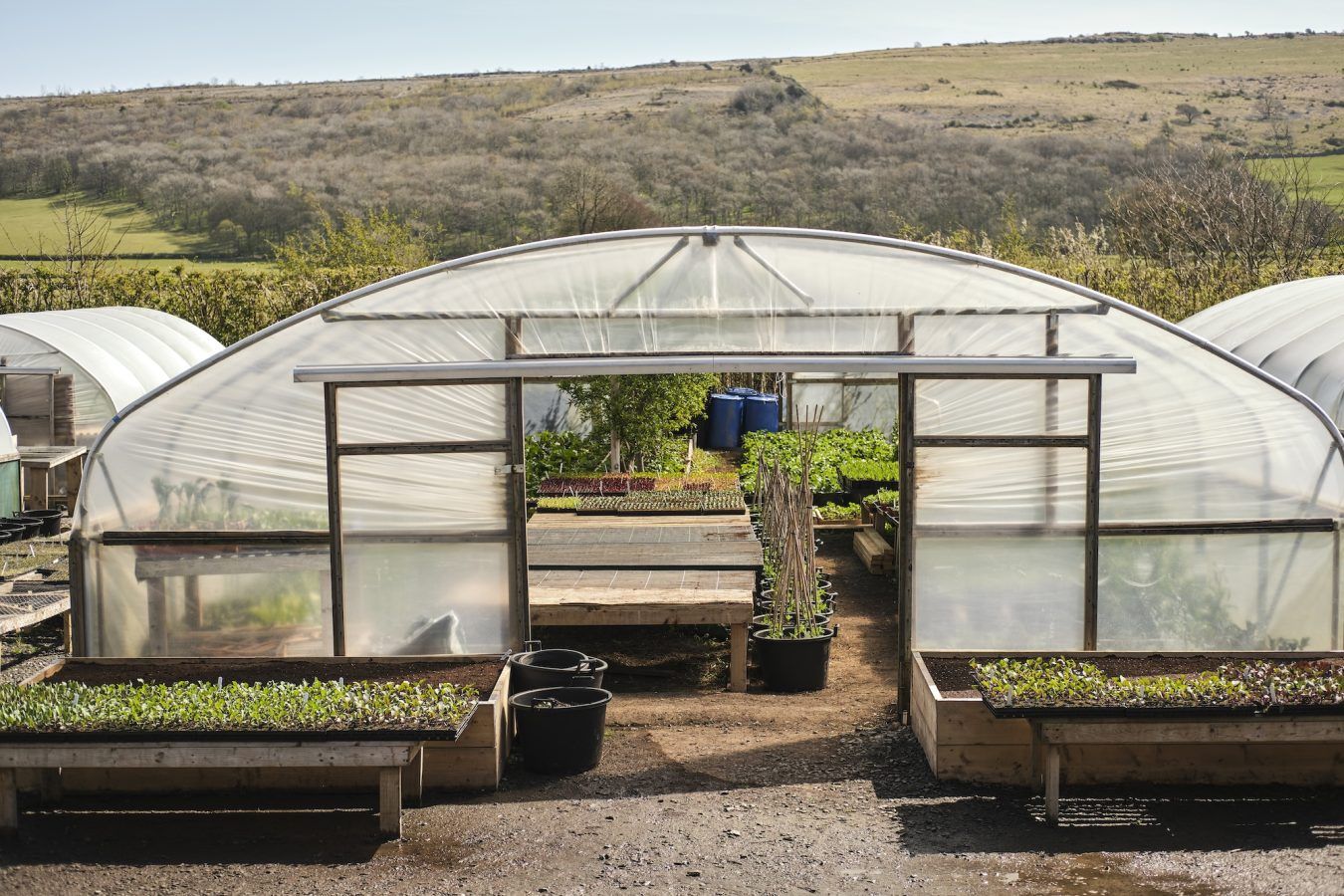 Chef Simon Rogan is inspiring chefs in Asia to be more sustainable