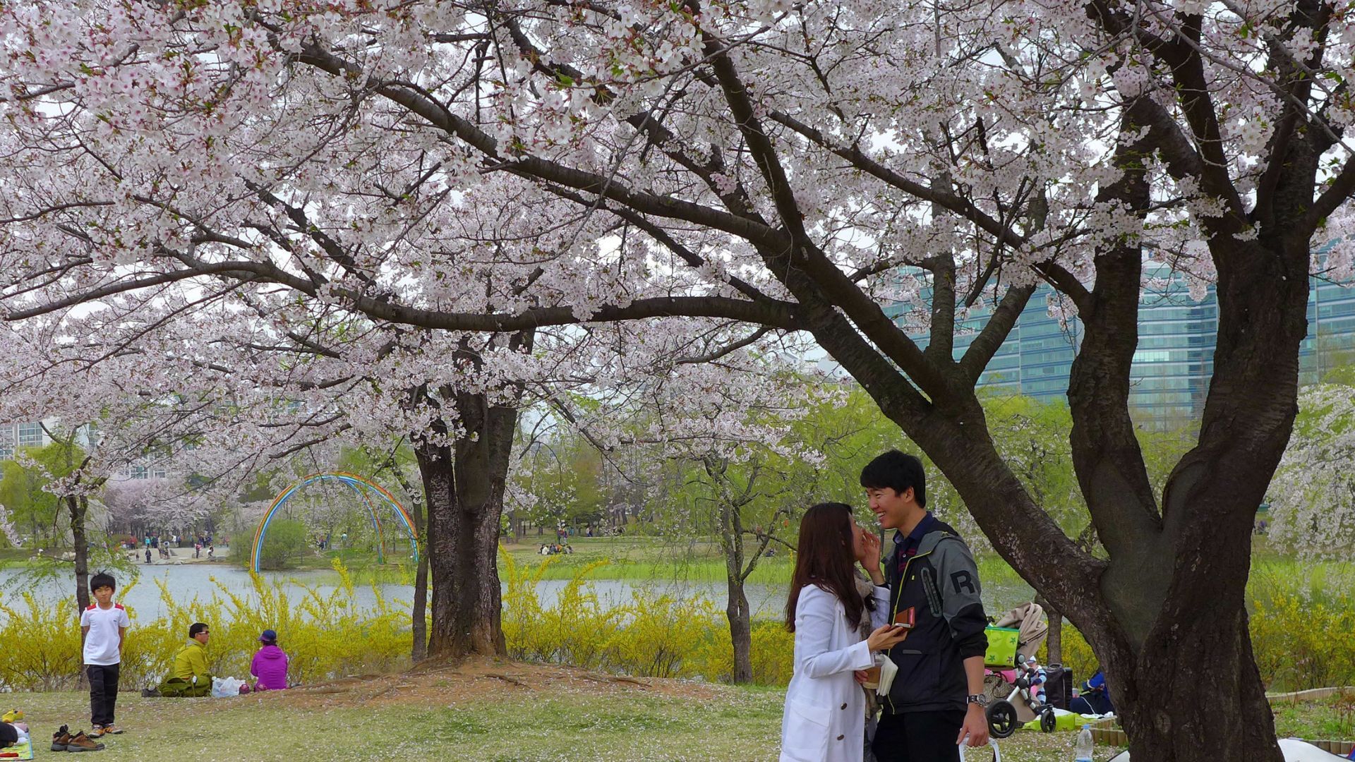 A guide to Ilsan: Visit the charming childhood hometown of BTS RM ...