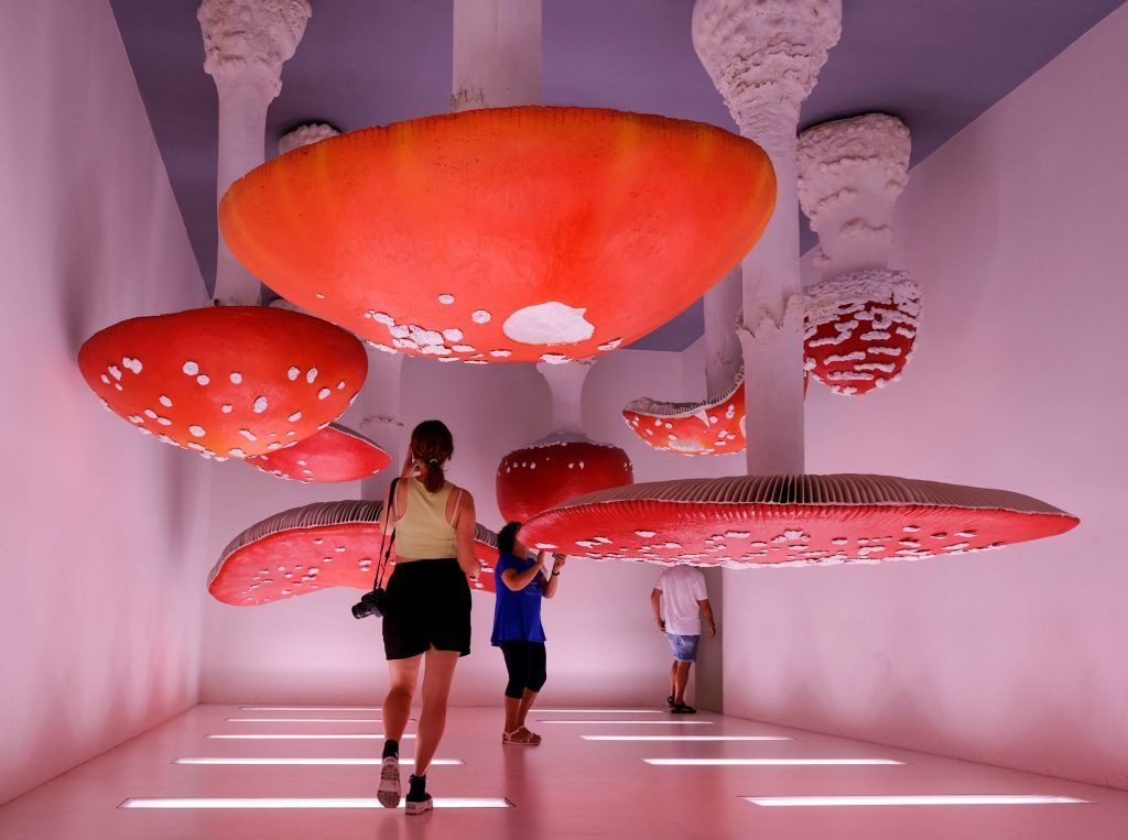 Carsten Höller: The artist who banned ketchup - PrestigeOnline Singapore