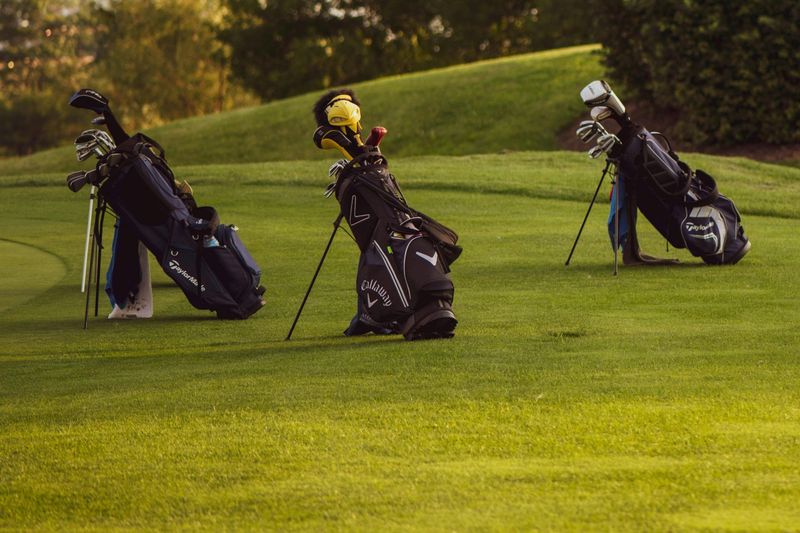 Most expensive kuxury golf bags from Dior and more – PrestigeOnline ...