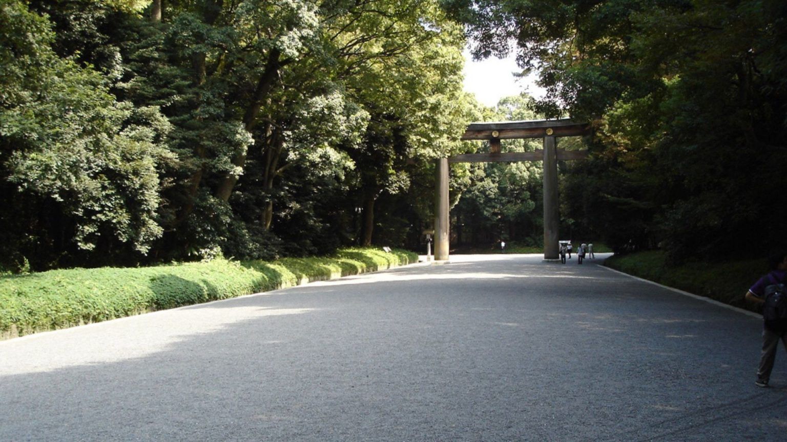 Discovering the magical forests of Japan – PrestigeOnline Singapore
