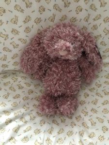 Rarest and most popular Jellycat plushies to collect