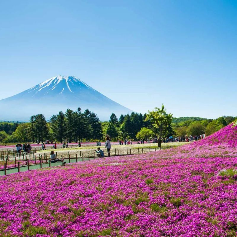 All about Space Perspective's Michelin-star dining experience in space
