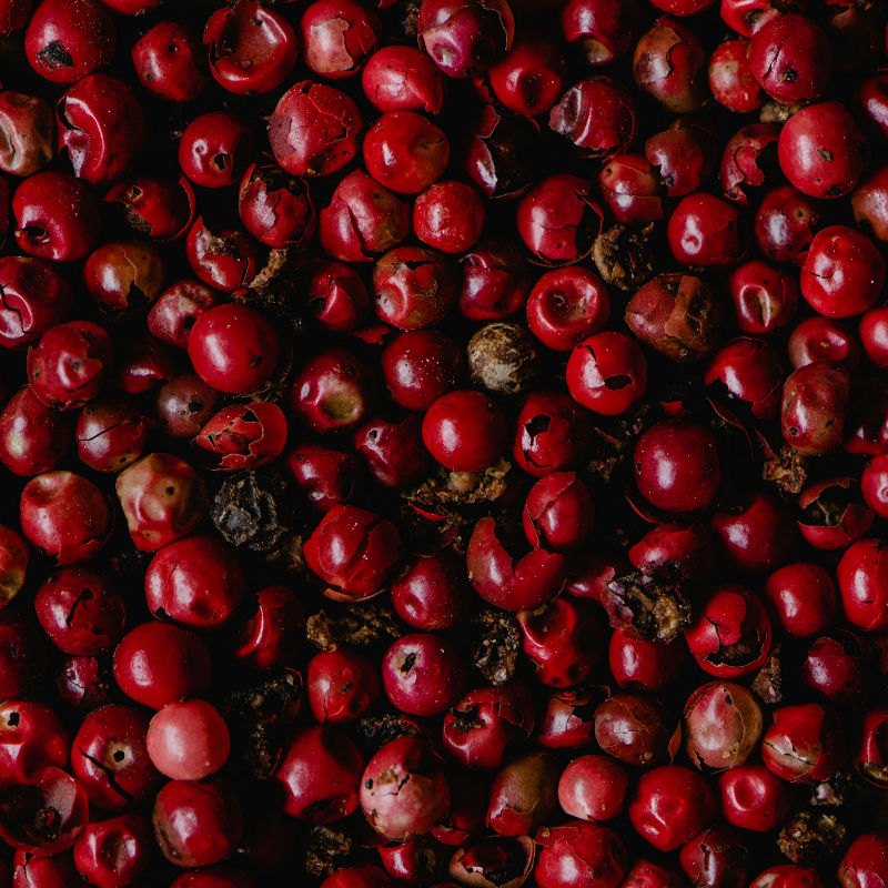 The most expensive spices in the world: Saffron and other condiments