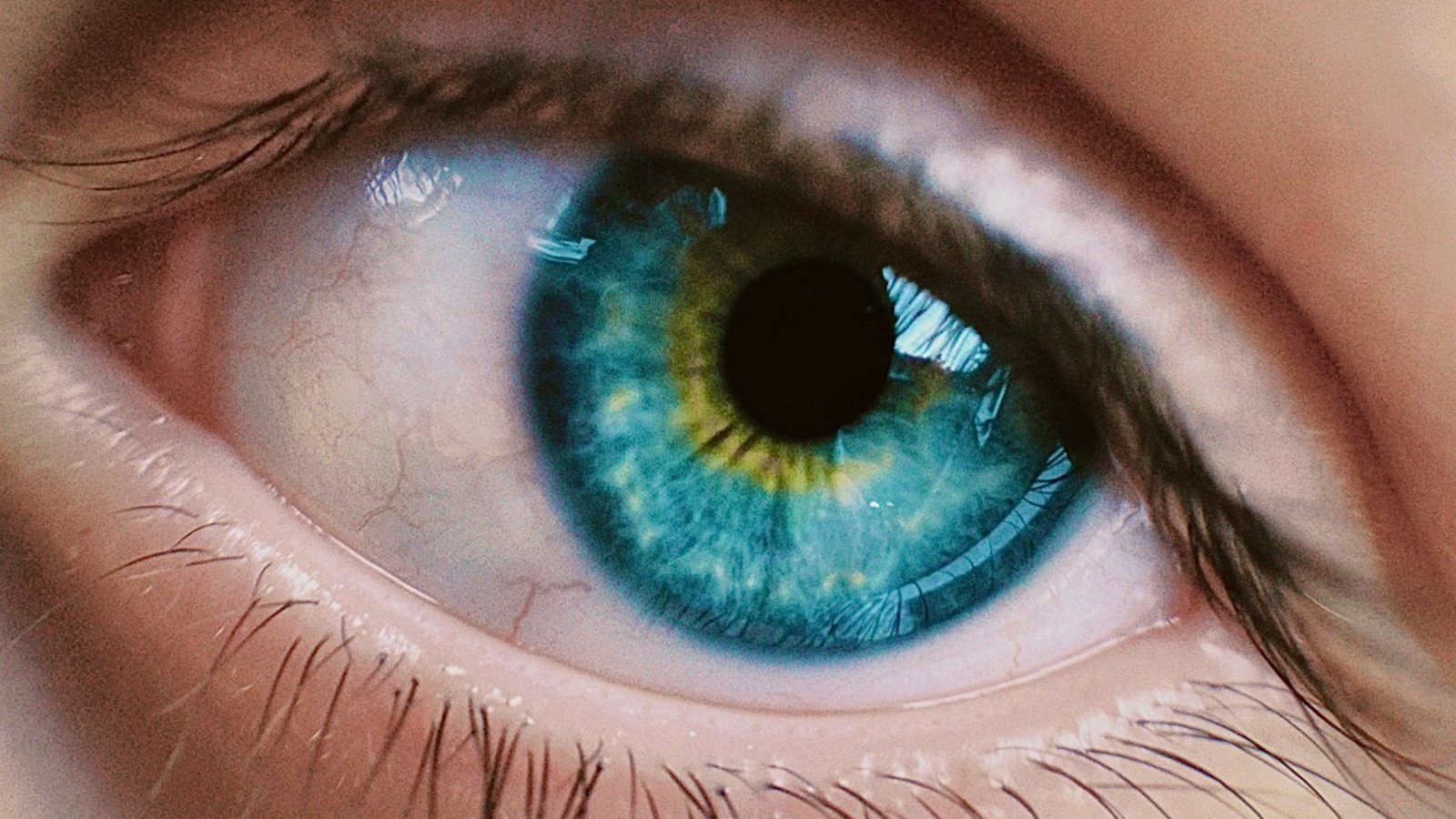 Scientists have discovered a new colour called Olo – PrestigeOnline ...