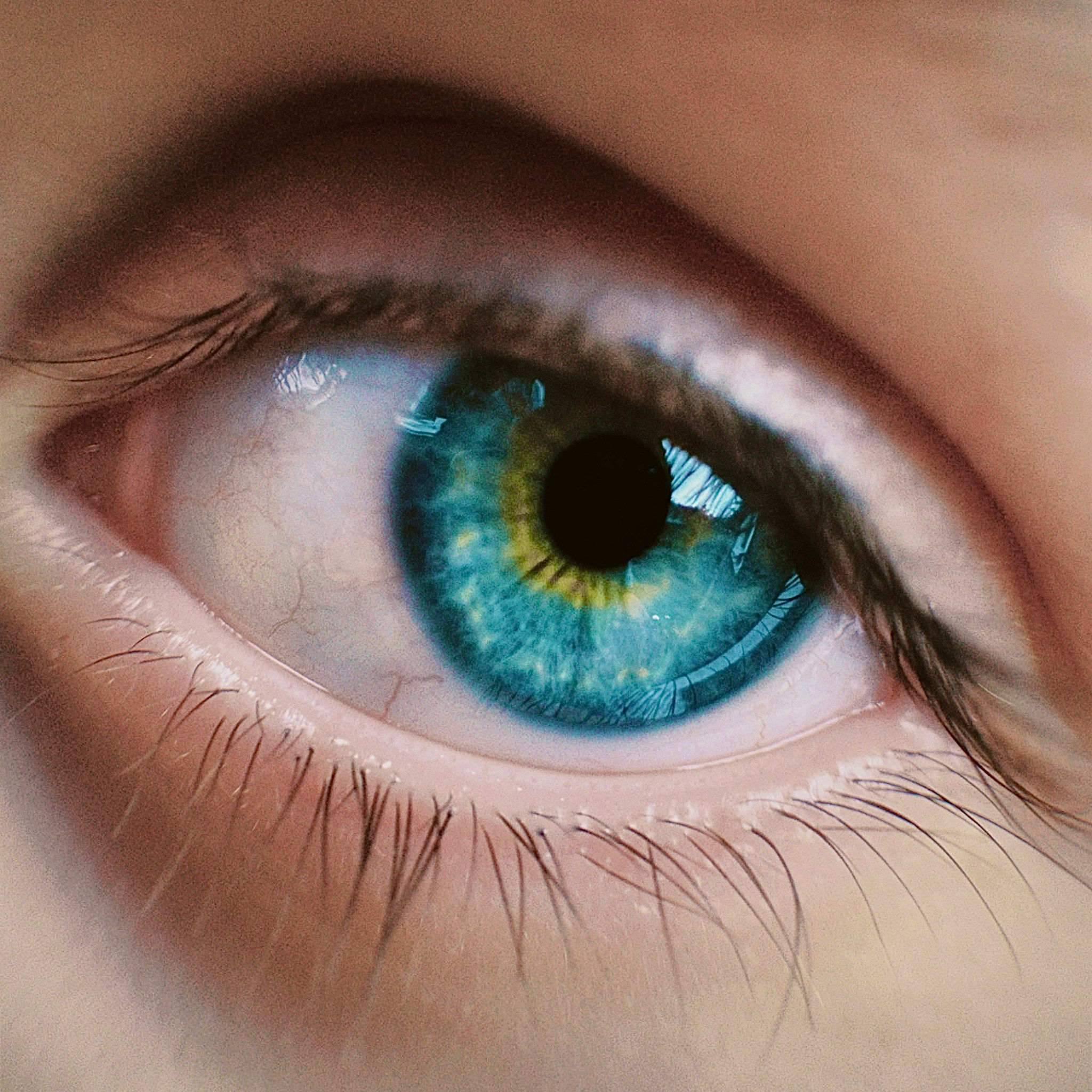 Scientists have discovered a new colour called Olo – PrestigeOnline ...